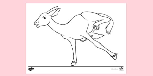 FREE! - Gazelle Fawn Colouring Sheet | Colouring Sheets