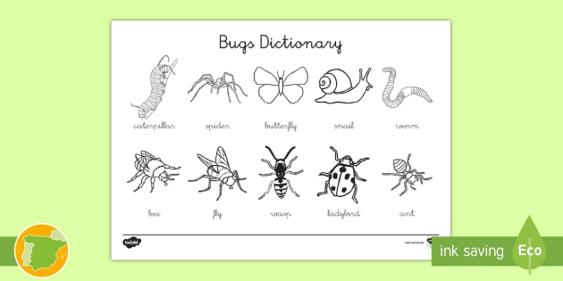 A1 Diccionario de imágenes: Bichos en inglés