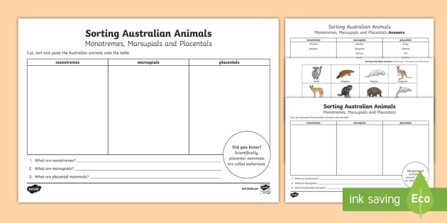 Monotremes, Marsupials and Placentals Sorting Worksheet / Worksheet
