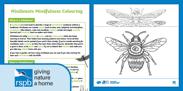 FREE! - Minibeasts Mindfulness Colouring (Ages 7 - 11)