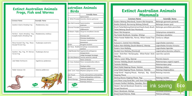 Extinct Australia Animals Display Posters (teacher made)