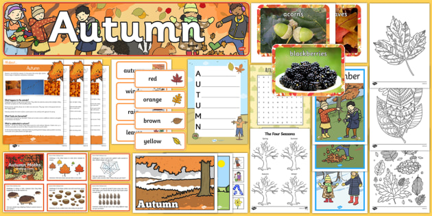 Autumn Educational Activities | Seasons | Primary Resources