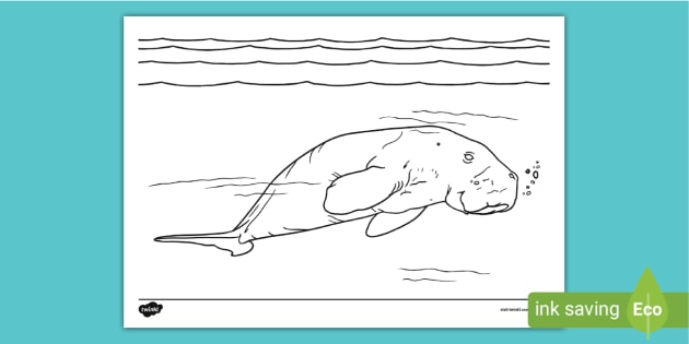 Manatee Colouring Sheet