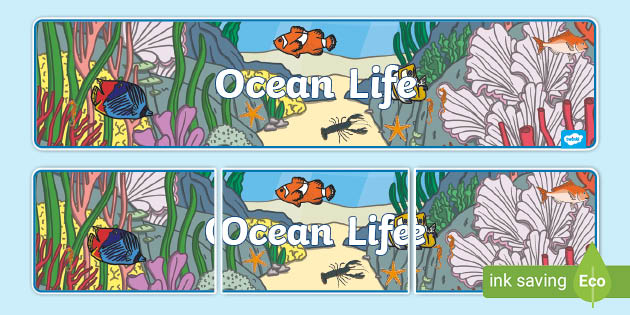 Layers of the Ocean display banner- easy to print.