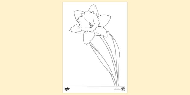 Easy Spring Colouring Page for Children | Colouring Sheets