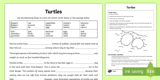 Australian Animals Years 3-6 Turtles Differentiated Worksheet / Activity
