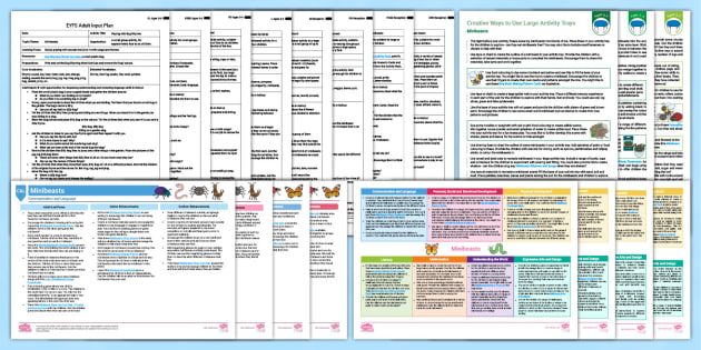 EYFS Ages 0-5 Minibeasts Bumper Planning Pack (teacher made)