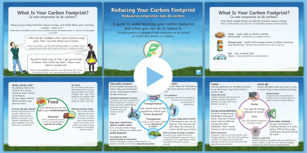 Earth Day: Reducing Your Carbon Footprint PowerPoint English/Romanian