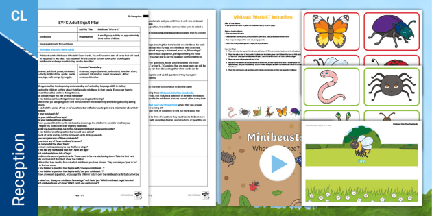 EYFS Minibeast Who is it? Adult Input Plan and Resource Pack