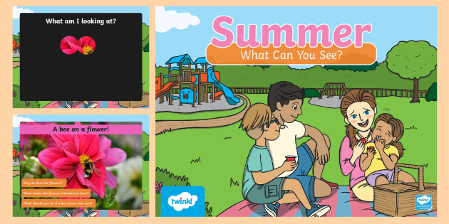 Summer-Themed 'What Can You See?' PowerPoint (teacher made)