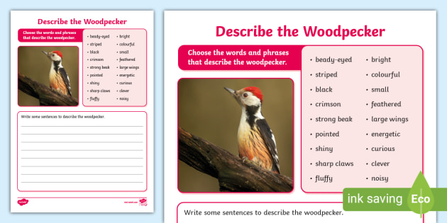 Describe the Woodpecker Writing Activity (teacher made)