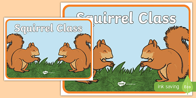 Squirrel Class Display Poster (teacher made)