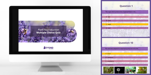 Plant Reproduction Quiz | KS3 Biology | Beyond