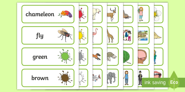 Chameleon Word Cards - Reception Spelling Words Cards