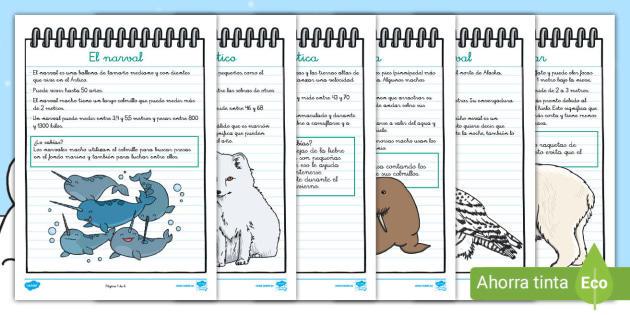 Hojas informativas: Animales polares