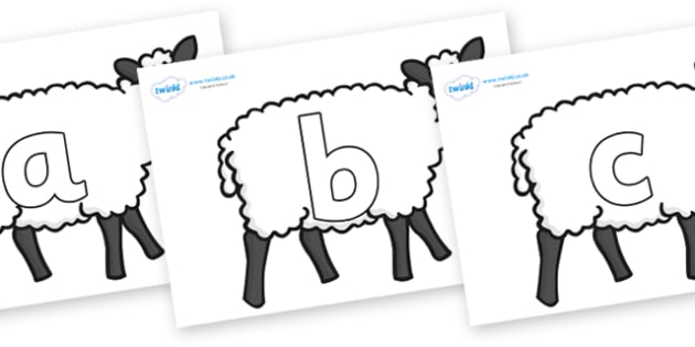 Sheep Displays | twinkl.com.au