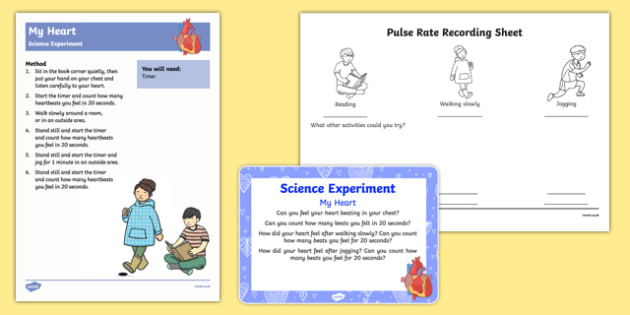 Heart Experiment for Kids (teacher made)