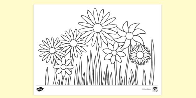 FREE! - Colouring Page Summer Flowers | Colouring Sheets