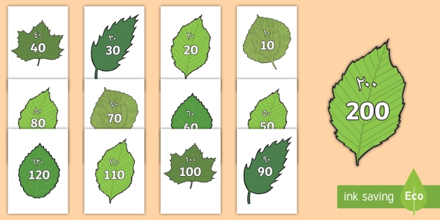 Counting in 10s on Leaves Display Posters Arabic/English - Numbers to ...