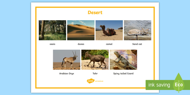 Desert Word Mat