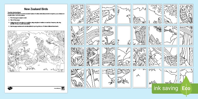 New Zealand Birds Mindful Collaborative Colouring Pack