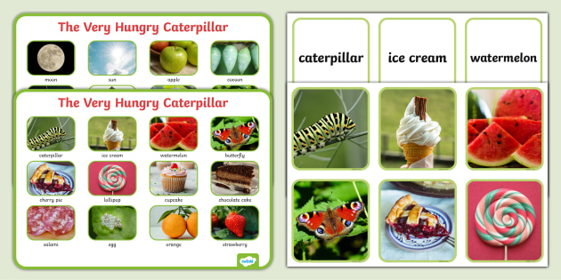 FREE! - Photo Word Mat and Matching Cards to Support Teaching on The Very