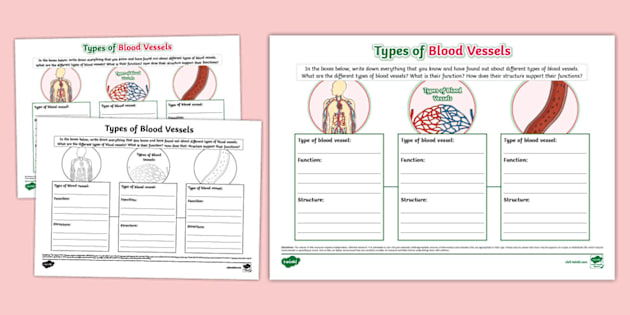 The Blood Worksheet