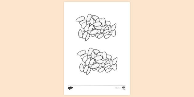 FREE! - Sunflower Seeds | Colouring Sheets (Teacher-Made)