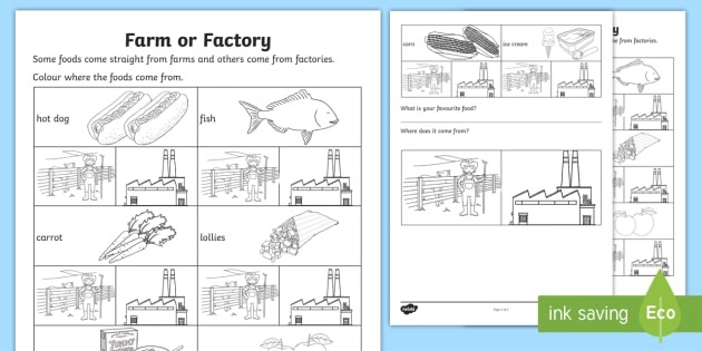 Farm or Factory Food Worksheet