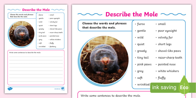 * NEW * Describe the Mole Writing Worksheet (teacher made)
