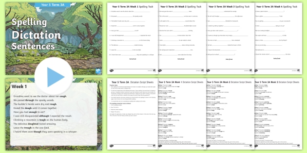 Year 5 Term 3A Spelling Dictation Sentences Activity Pack
