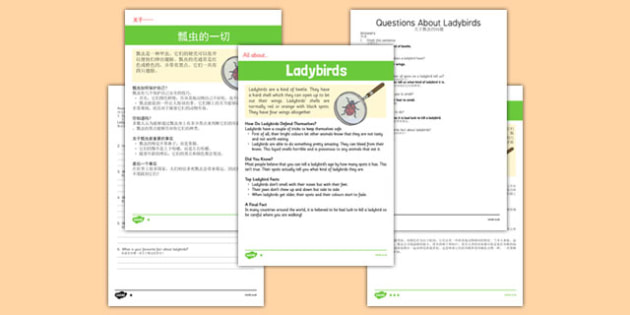 Ladybird Differentiated Reading Comprehension Activity Mandarin Chinese