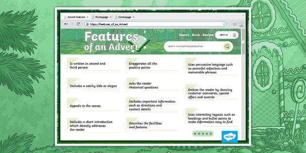 Features of an Advert Display Poster (teacher made)