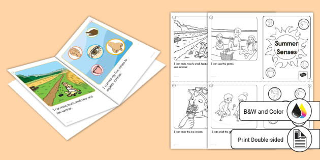 Summer Senses Emergent Reader (teacher made)
