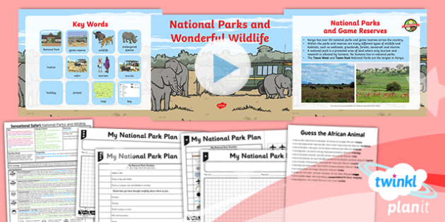 Safari Adventures | twinkl.co.uk