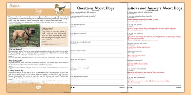Dogs Language Worksheets | twinkl.co.uk