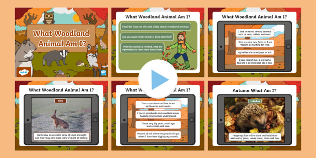 * NEW * What Woodland Animal Am I? PPT (teacher made)
