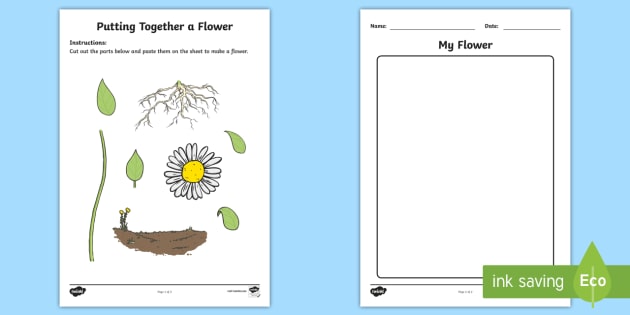 Putting Together a Flower Activity (teacher made)