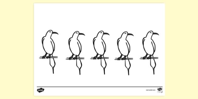 FREE! - Five Sunbird Colouring Sheet | Colouring Sheet