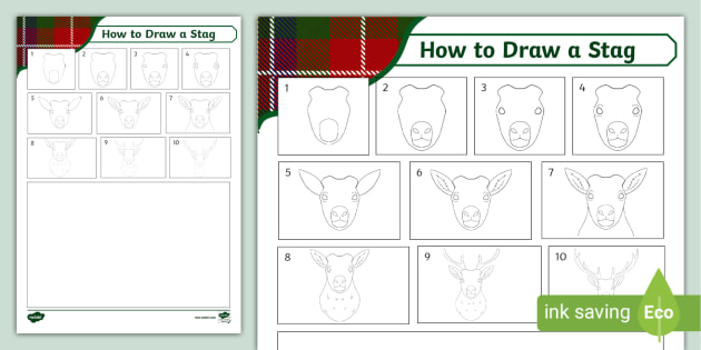 How to Draw a Stag Worksheet