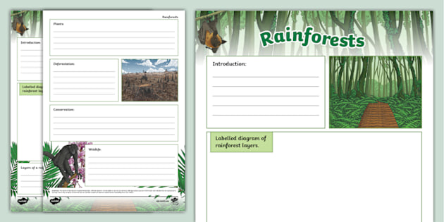 Geography Report Template • Twinkl.com.au