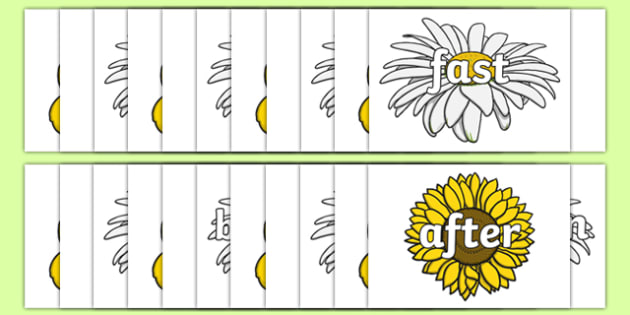 Year 2 Common Exception Words on Flowers