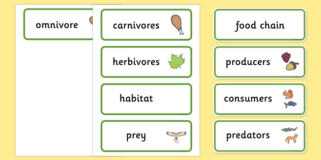 Food Chain Word Cards - food, chain, food chain, foods, cards, word cards