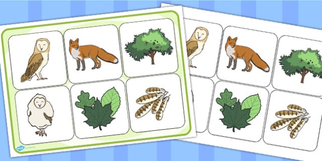 Owl Matching Cards and Board