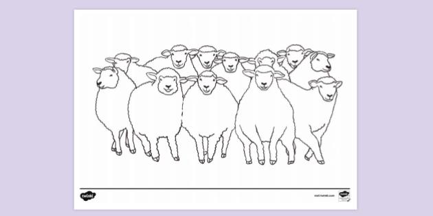 FREE! - The Sheep Colouring Colouring | Colouring Sheets
