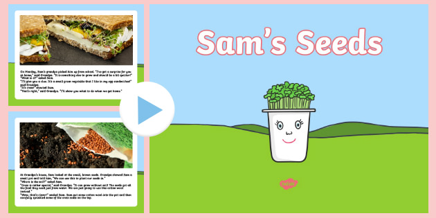 EYFS Sam's Seeds Story PowerPoint (teacher made)