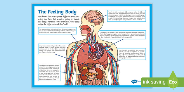 The Feeling Body Display Poster (teacher made)
