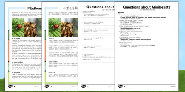 Minibeasts Differentiated Reading Comprehension Activity Mandarin Chinese