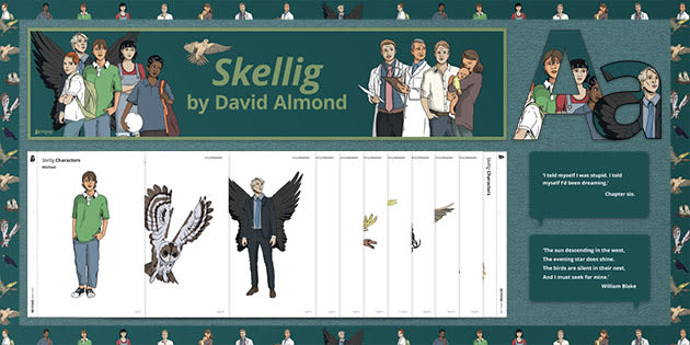 Skellig Classroom Display Pack | Modern Literature | Beyond