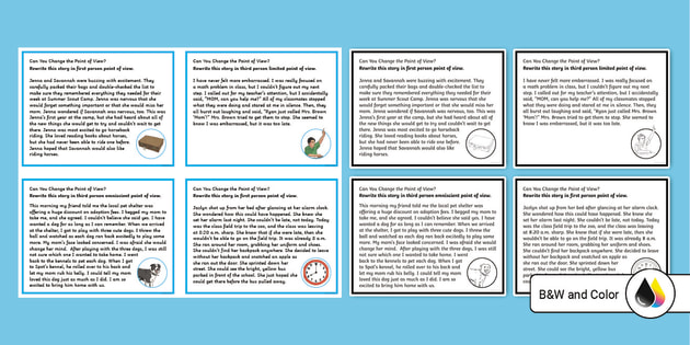 Point of View Task Cards (teacher made)